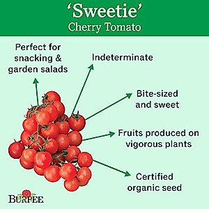Burpee 'Sweetie' Organic | Heirloom Red Cherry Tomato | 125 Seeds