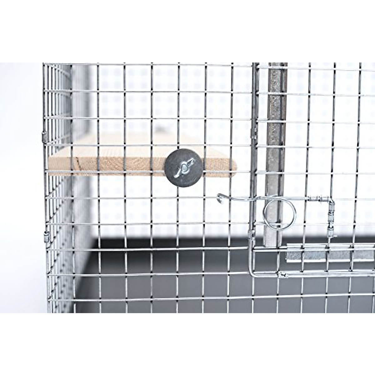 Chinchilla Mansion Chinchilla Cage, Handmade in USA, No Plastic, Built for Chinchillas by Chinchilla Owners, 48" Tall, 30" Wide, 24" Deep, Built to Last.