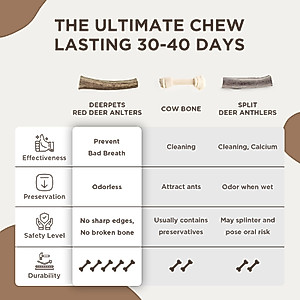 Premium Deer Antlers for Dogs – Natural Dental Chew for Aggressive Chewers – Long-Lasting Antler Chews, Odor-Free, Mess-Free, 1 Count (Jumbo)