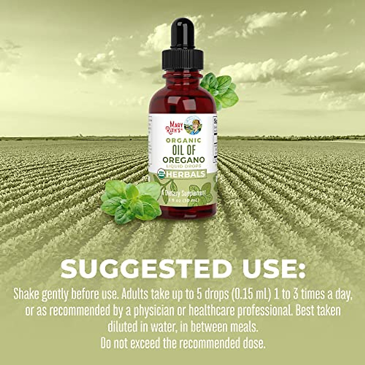 Oregano Oil Drops | 6 Month Supply | USDA Organic Oil of Oregano Liquid | Herbal Blend for Immune Support | Digestive Health | Overall Health | Vegan | Sugar Free | Non-GMO | 1 Fl Oz