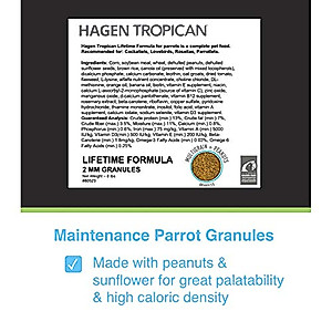HARI Tropican Bird Food, Hagen Parrot Food with Peanuts & Sunflower Seeds, Maintenance Parrot Granules 2 mm, Lifetime Formula, 1.8 lb Bag