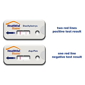 Healthful Home 5-Minute Mold Test