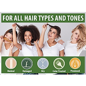 LuxeOrganix Moroccan Argan Oil Shampoo - SLS Sulfate Free, Keratin & Color Safe - Solon Grade Moisturizing Anti-Frizz Formula (16 oz Single Shampoo)