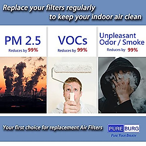 PUREBURG Replacement True HEPA Filter Kit Compatible with HoMedics Total Clean AF-20 AP-25 AR-20 Air Purifiers,Part Number AF-20FL AP-25CRF AF-25, H13 Activated carbon Air Clean Dust,1+4