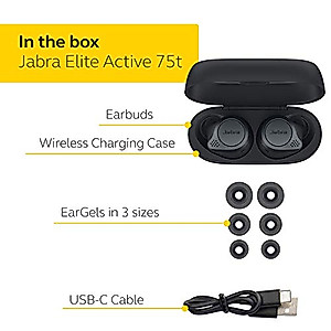 Jabra Elite Active 75t True Wireless Earbuds with Wireless Charging Enabled Case, Gray