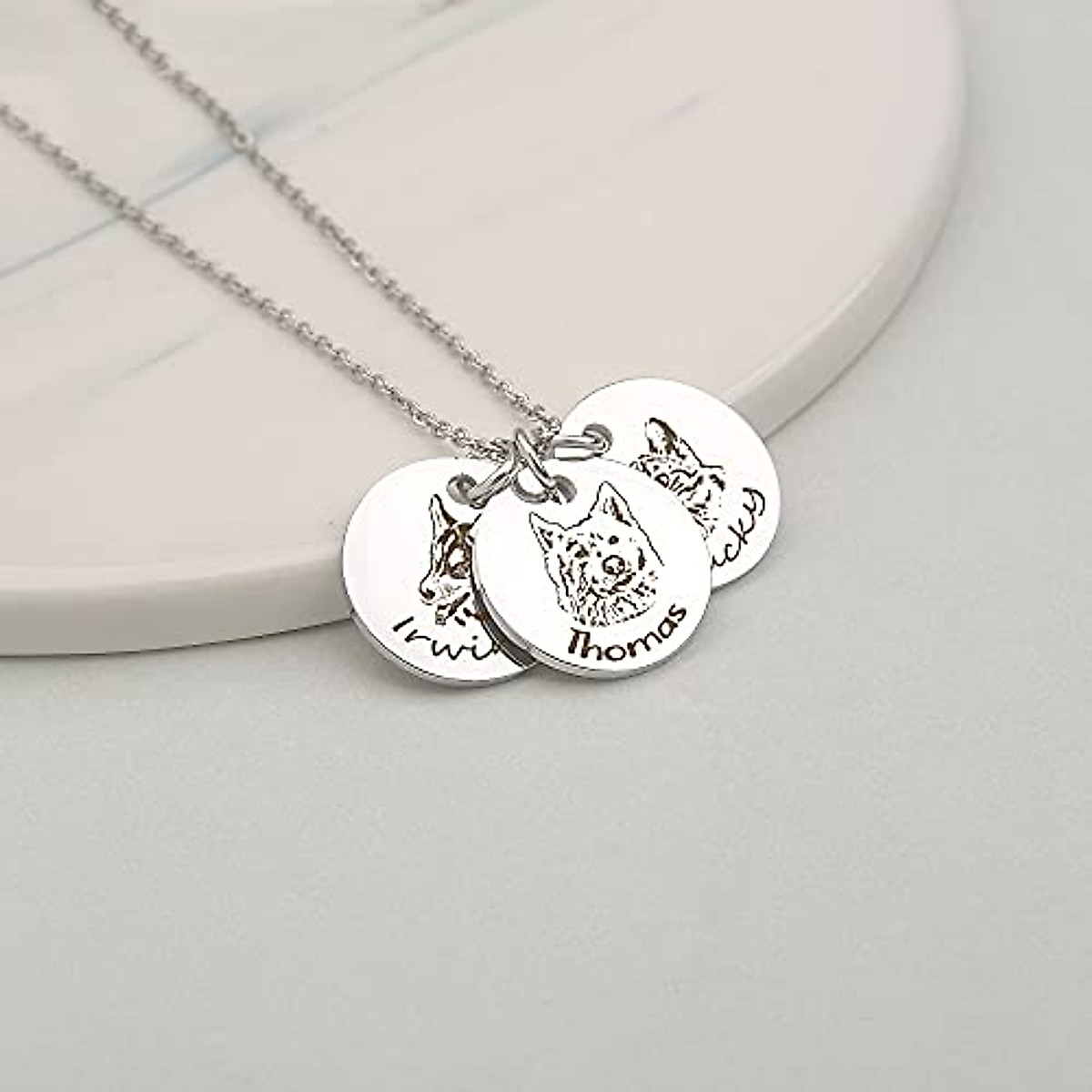 Anavia Personalized Pet Portrait Necklace, Handmade Pet Dog Cat Memorial Jewelry Gift, Customized Round Disc Photo Engraved Necklace Pet Gifts for Animal Lover Dog Mom(1 Disc, Silver)