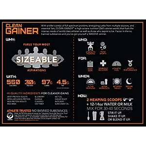 Rivalus Clean Gainer, Cinnamon Toast Cereal, 10 Pound