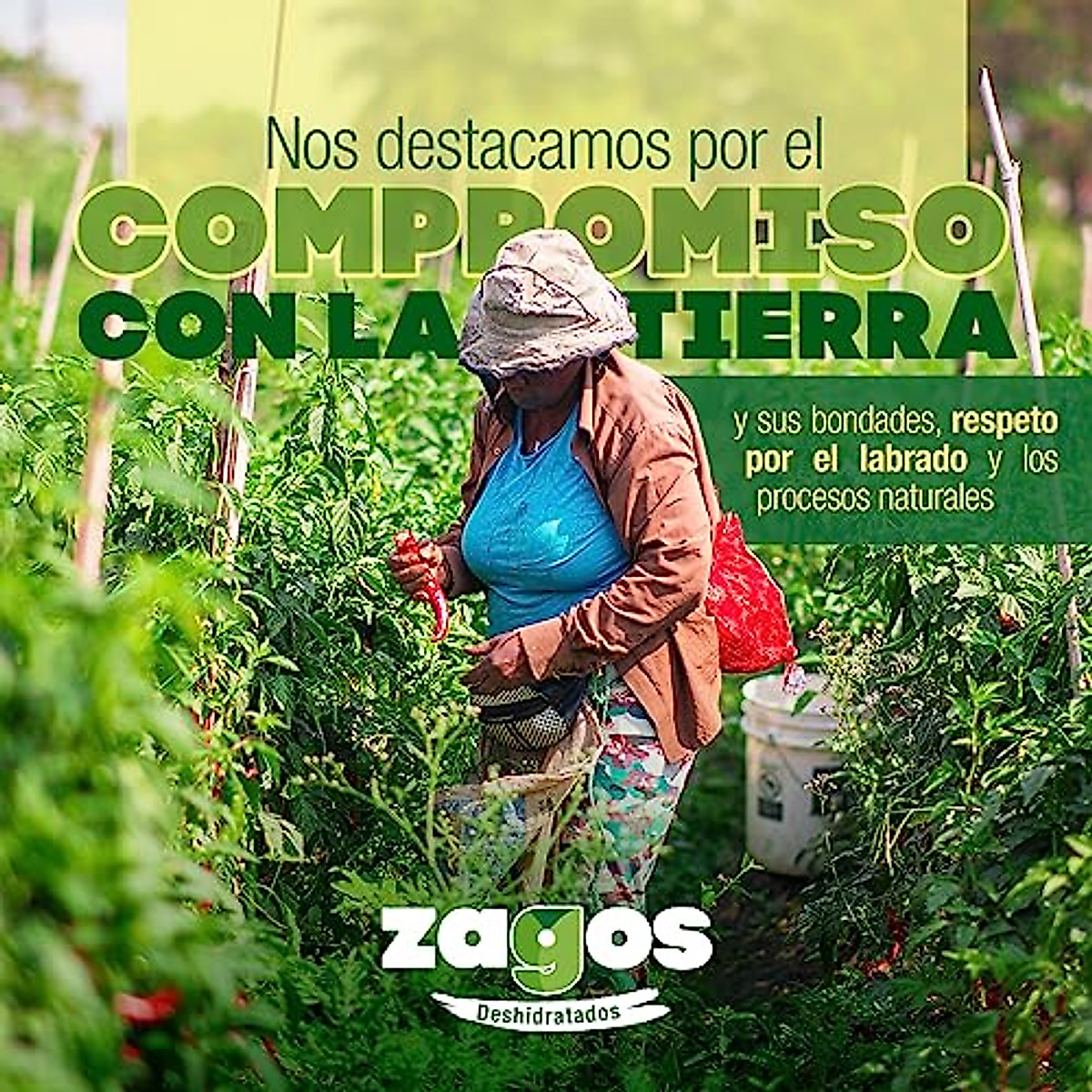 Zagos - Dehydrated sweet onion 100% natural product, dried onions in a 20 grams container (1 PACK)