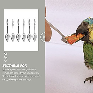 Hemoton 4.7inch Bird Stainless Steel Feeding Spoon, 6Pcs Special Bird Feeding Scoop Spoons, Hand Feeding Spoons for Peony Cockatiel Parrot