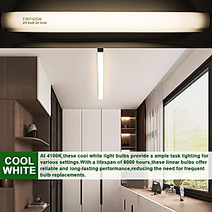 F20T12/CW 20 Watt Light Bulb Cool White, 24 Inch T12 Fluorescent Tube 20W Compatible with Philips Sylvania GE Light Fixture G13 Cap 4 Count
