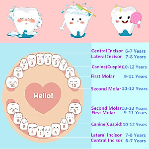 WANONEE Baby Teeth Keepsake Box, pp Children Kids Tooth Storage Holder Organizer Printed in English to Keep The Child-Wood Memory (Pink)