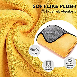 Dry Towel for Cars, （6PCS）Microfiber Extra Thick Cleaning Cloths,Car Drying Towel Scratch-Free Car Detailing Buffing Polishing Soft Super Absorbent Towel 800 GSM 12 in x24 in