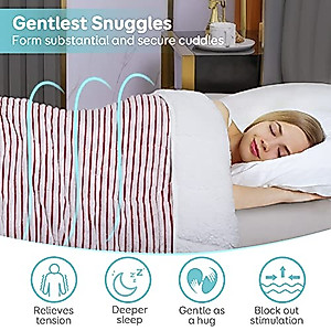 Sherpa Weighted Blanket - Adult Fuzzy Weighted Blanket 20lbs for Men & Women, Super Soft & Warm Fleece Weighted Blanket to Help with Fast Sleep 60"x80", Burgundy by Topblan