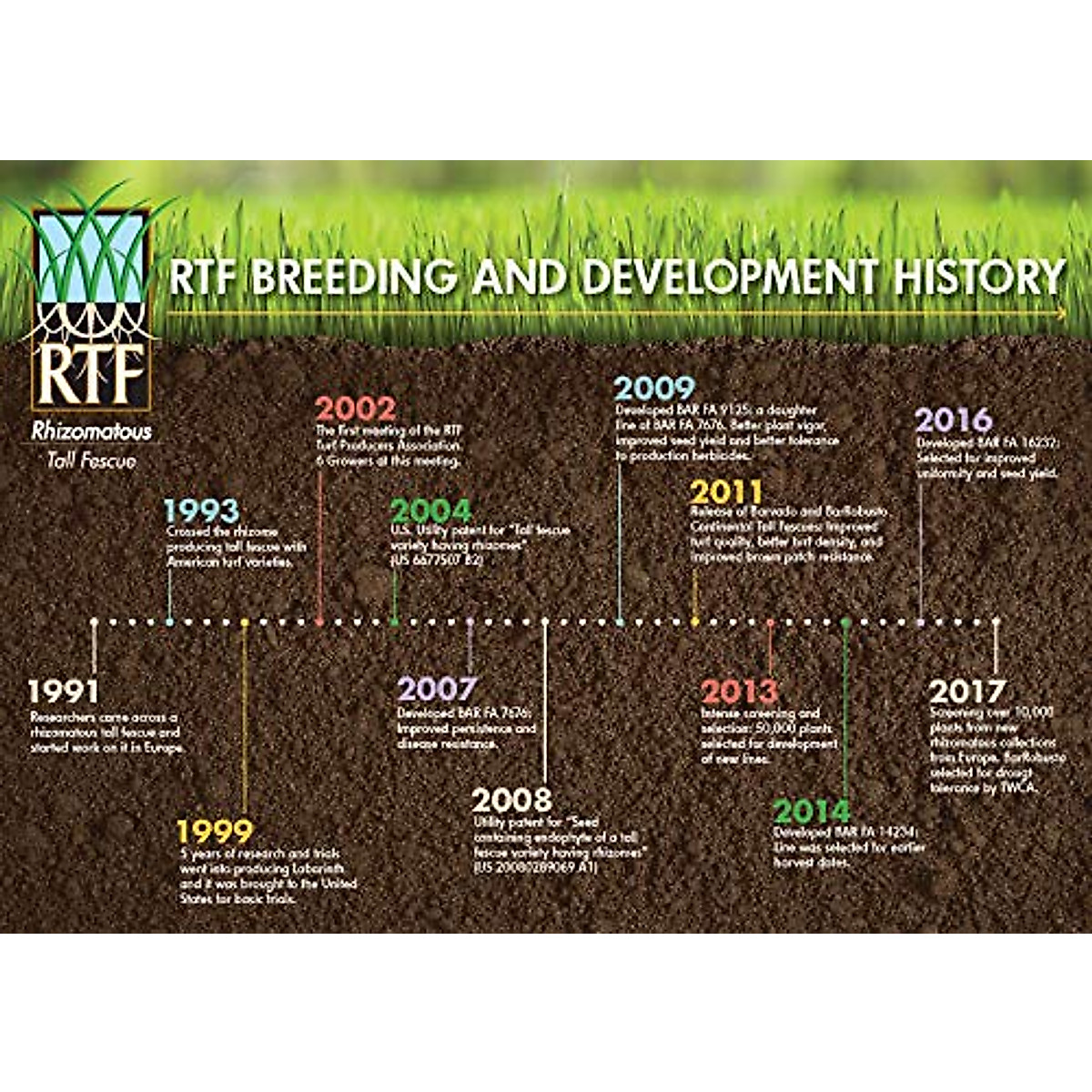 Barenbrug Turf Saver RTF Grass Seed with Yellow Jacket Seed Coating - Less Water Self-Repairing Tall Fescue Turf for Use on Sports Field, Golf Courses, Parks, Lawns, and Yard (10 LB Bag)