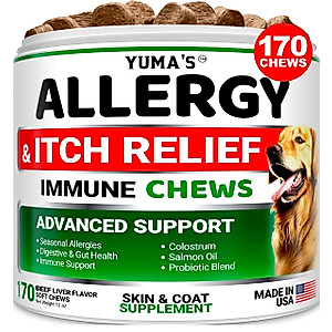 Dog Allergy Relief Chews - Dog Itching Skin Relief Treatment Pills - 170 Treats - Itchy and Paw Licking - Anti-Itch - Dry Skin & Hot Spots Omega 3 Fish Oil Skin & Coat Supplement - Beef Liver Flavor
