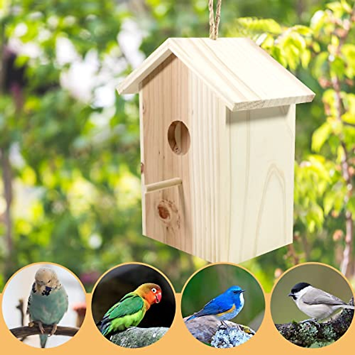 Pintuson 2 Pack Window Bird Houses for Viewing, See Through Bird House for Window, Transparent Spy Birdhouse for Outdoor, Wooden Bird Nest with Strong Suction Cups