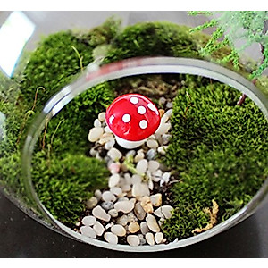 yueton Pack of 100 Mini Foam Mushroom for Garden Ornament Flower Pots Bonsai Micro Landscape Decor (Red)