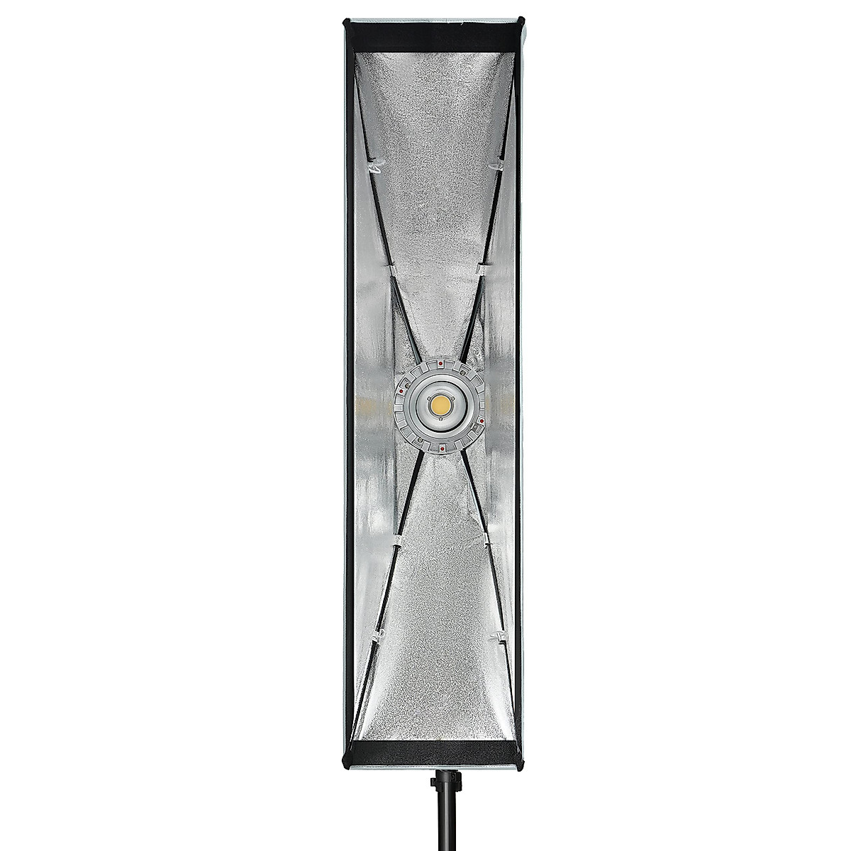 Aputure Light Box Rectangle Softbox with Grid for Portraits Product Photography Video Shooting for Amaran 60c/60x 200/100d, Aputure LS 300d II 300x 600d pro 120d ii LED Video Light (30X120)