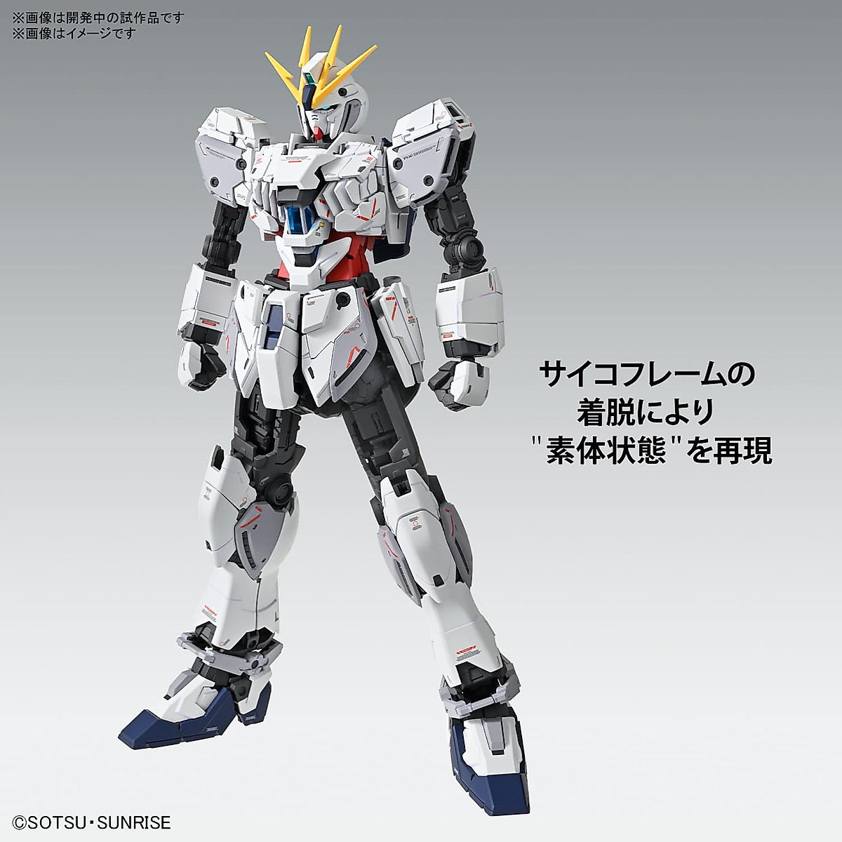 Bandai Hobby - Gundam NT - Narrative Gundam C-Packs ver. Ka, Bandai Spirits MG 1/100 Model Kit