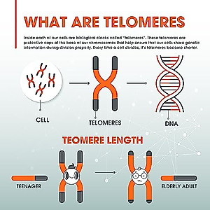 Genius Eternal, Anti-Aging Supplement - Telomere Capsules - NRF2 NADH Activator Supplements, Stem Cell Support for Longevity, Cellular Energy, Metabolism & Repair