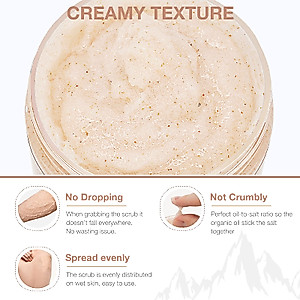 Purevail Himalayan Salt Body Scrub - Natural Exfoliating Scrub to Moisturize, Soften and Smoothen Skin - Light Bergamot Scent - Deep Cleansing for Dead Skin - Gifts for Women - 8.8 oz