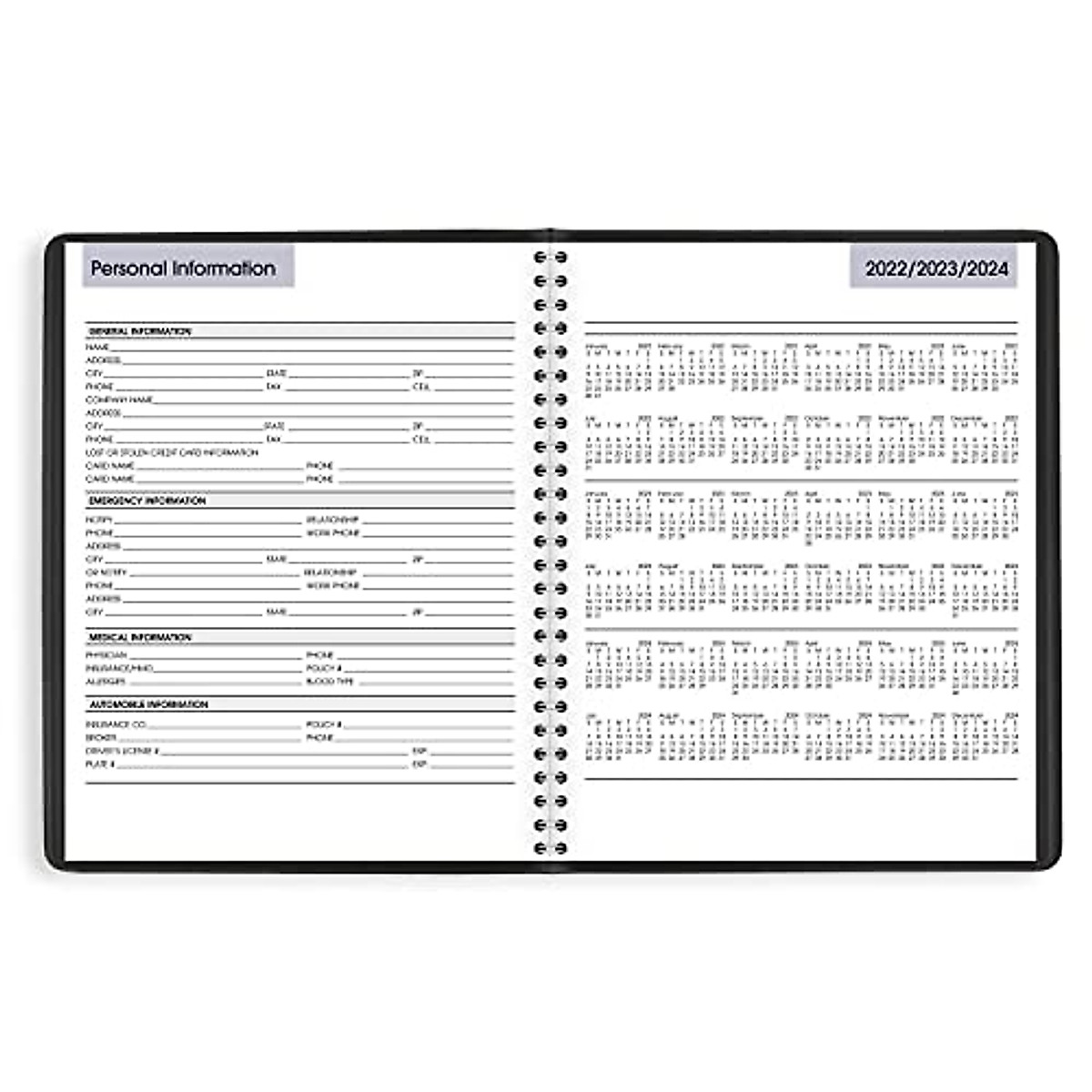 AT-A-GLANCE 2023 Weekly Planner, DayMinder, 7" x 8-3/4", Medium, Column-Style, Faux Leather, Black (G59000)