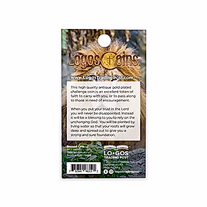 Trust in The Lord Lion Challenge Coin, Bulk Pack of 10 Christian Pocket Tokens, Bible Study Supplies for Men, Bible Verse Worry Coin for Prayer, Religious EDC Coins for Police & Military Veterans