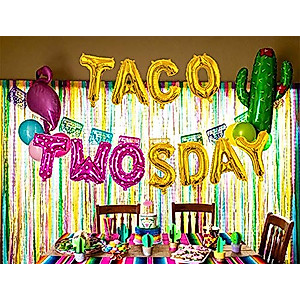Girl Taco Twosday Birthday Party Decorations, Taco Twosday Balloons Cactus Fiesta Themed Banner for Taco 2sday Birthday Taco 2nd Birthday Party Supplies 14PCS Kit of Qinsly (Pink, Taco 2sDay)