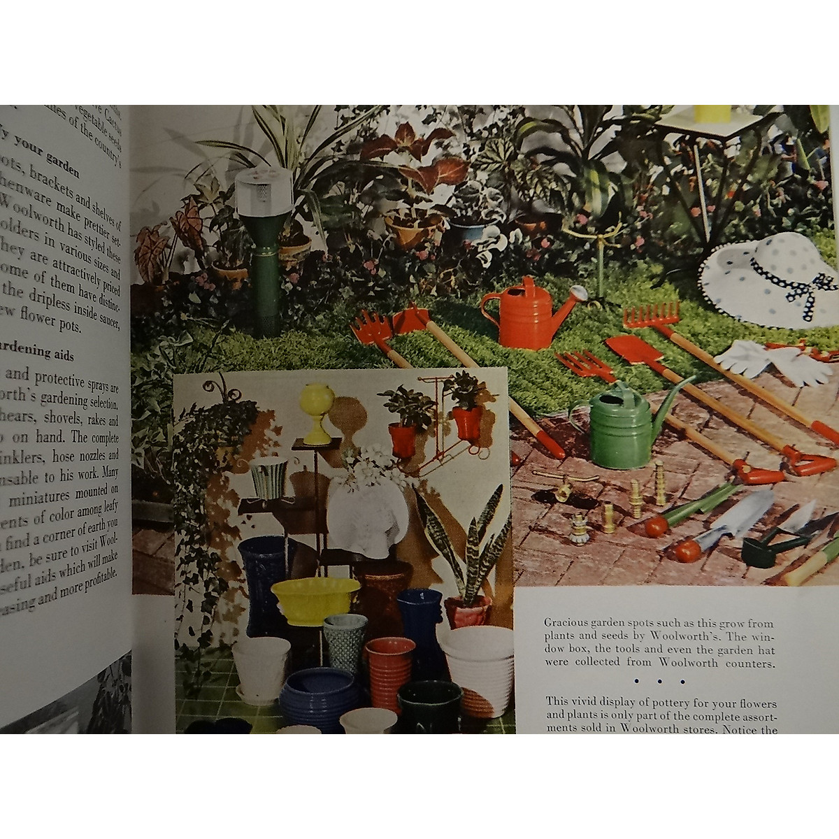 Sixty Years of Woolworth