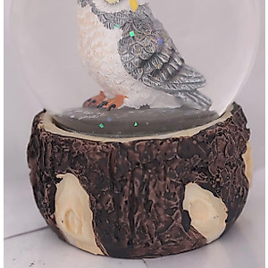 SINGEEK Owl Snow Globe - Hand Painted Owl Figurine Snowglobe, Manual Snowfall 65MM Water Globe Home Office Decor (Gray)