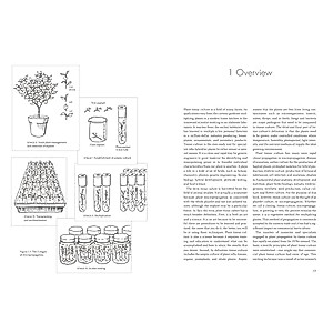 Plants from Test Tubes: An Introduction to Micropropogation