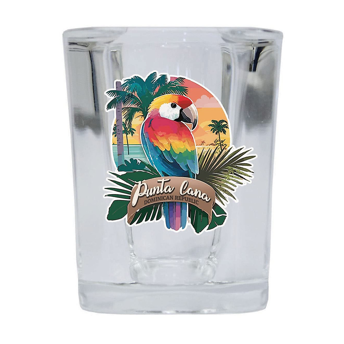 R and R Imports Punta Cana Dominican Republic Souvenir 2.5 Ounce Shot Glass Square PARROT1