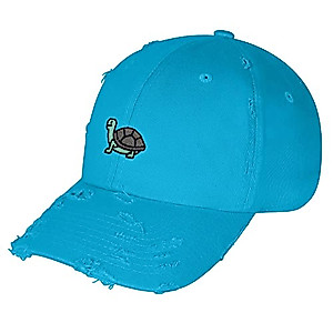 JPAK Turtle Vintage Dad Hat Frayed Embroidered Cap Neck Aqua
