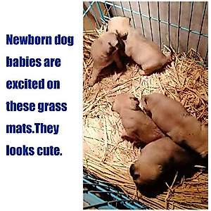 Grass Mat for Rabbit Bunny Chew Toys Woven Bed Mat for Guinea Pig Chinchilla Squirrel Hamster Cat Dog and Small Animal (8PCS Grass mat)