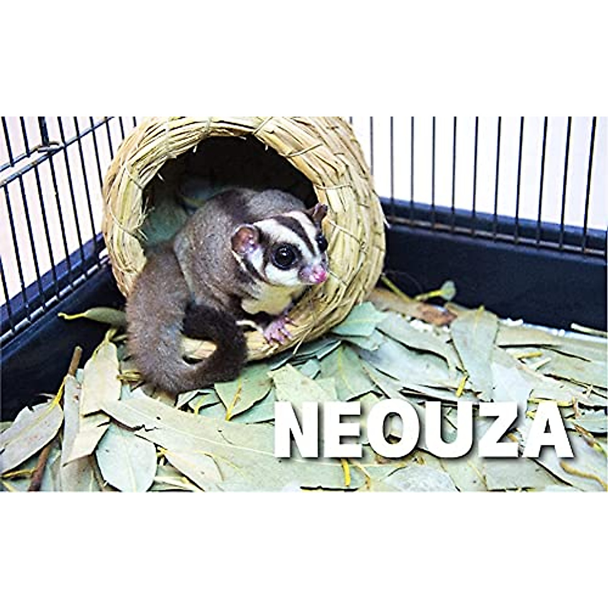 NEOUZA Sugar Glider Small Animal Bedding, Chew Treats, Molar Toys, 200g Natural Dried Eucalyptus Leaves and Twigs (200g Eucalyptus Leaves)