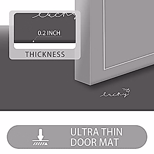 LYGLIGH Ultra Thin Door Mat Indoor Entryway Rugs Non Slip Large Absorbent Inside Door Mat for Front Door Entrance Throw Rugs with Rubber Backing Machine Washable 15.7"×25.6" Black