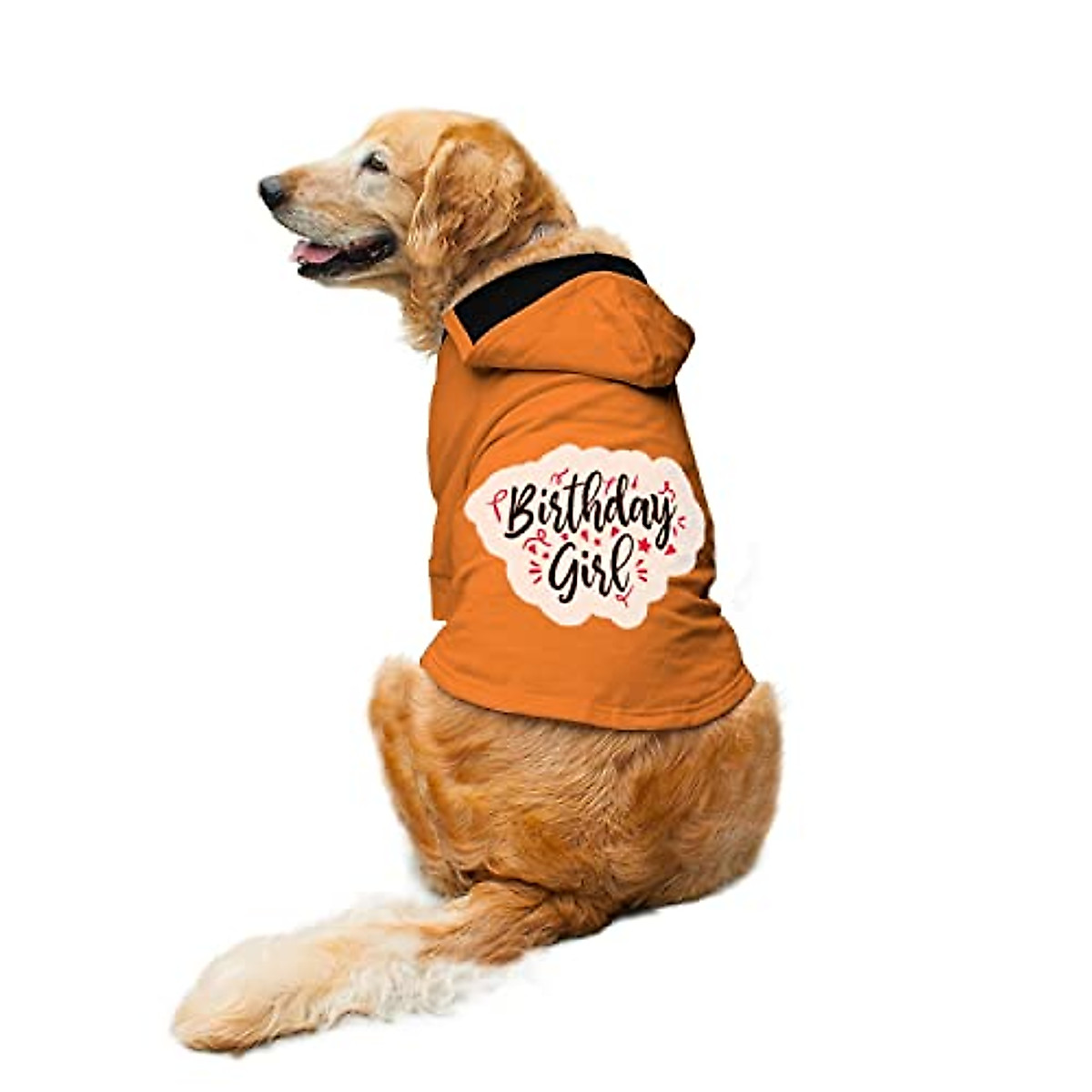 Ruse- Birthday Girl Printed Full Sleeves Dog Autumn Winter Hoodie Jacket/Apparel/Clothes/Jackets Gift for Dogs.Orange/Large (Full Grown Desi/Stray, Doberman etc.)