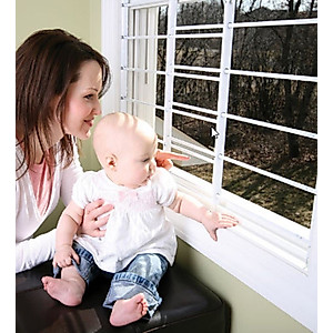 John Sterling 4Bar Basic Fixed Window Guard,14x14-24 Inches White