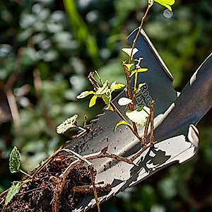 Radius Garden 22311 Root Slayer Nomad, Root Slayer Nomad, Red