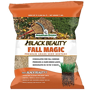 Jonathan Green (10768) Black Beauty Fall Magic Grass Seed - Cool Season Lawn Seed (7 lb)