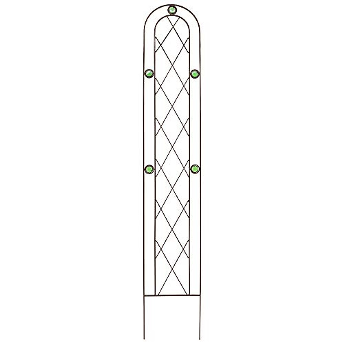 Arcadia Garden Products TR02 Arched Garden Trellis, 5' x 10", Black
