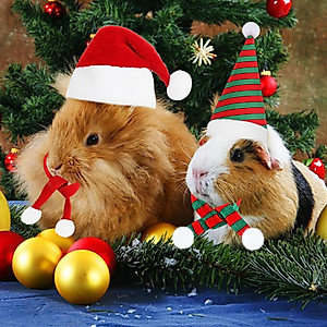 FOIMAS 12pcs Christmas Pet Chicken Hat Scarf Set Small Animal Hat Costume Set for Hen Duck Hamster Guinea Pig Rabbit Kitty Puppy Parrot Lizard Xmas Party Supply