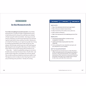 We're Pregnant! The First Time Dad's Pregnancy Handbook