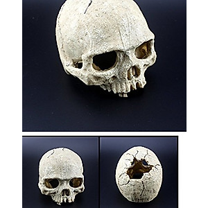 Hewnda Aquarium Decor Resin Artificial Head Skeleton Decoration - Aquarium Otaru Aquarium Decorative Cave Landscape Pet Reptile House