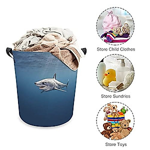 Shortfin Shark Under The Sea Large Laundry Basket Hamper Bag Washing with Handles for College Dorm Portable