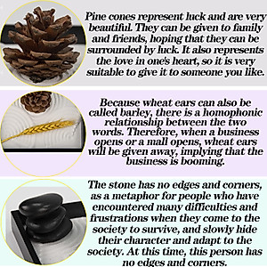 ZenChina Desktop Zen Garden Kit Meditation Decor Japanese Mini Zen Sand Garden