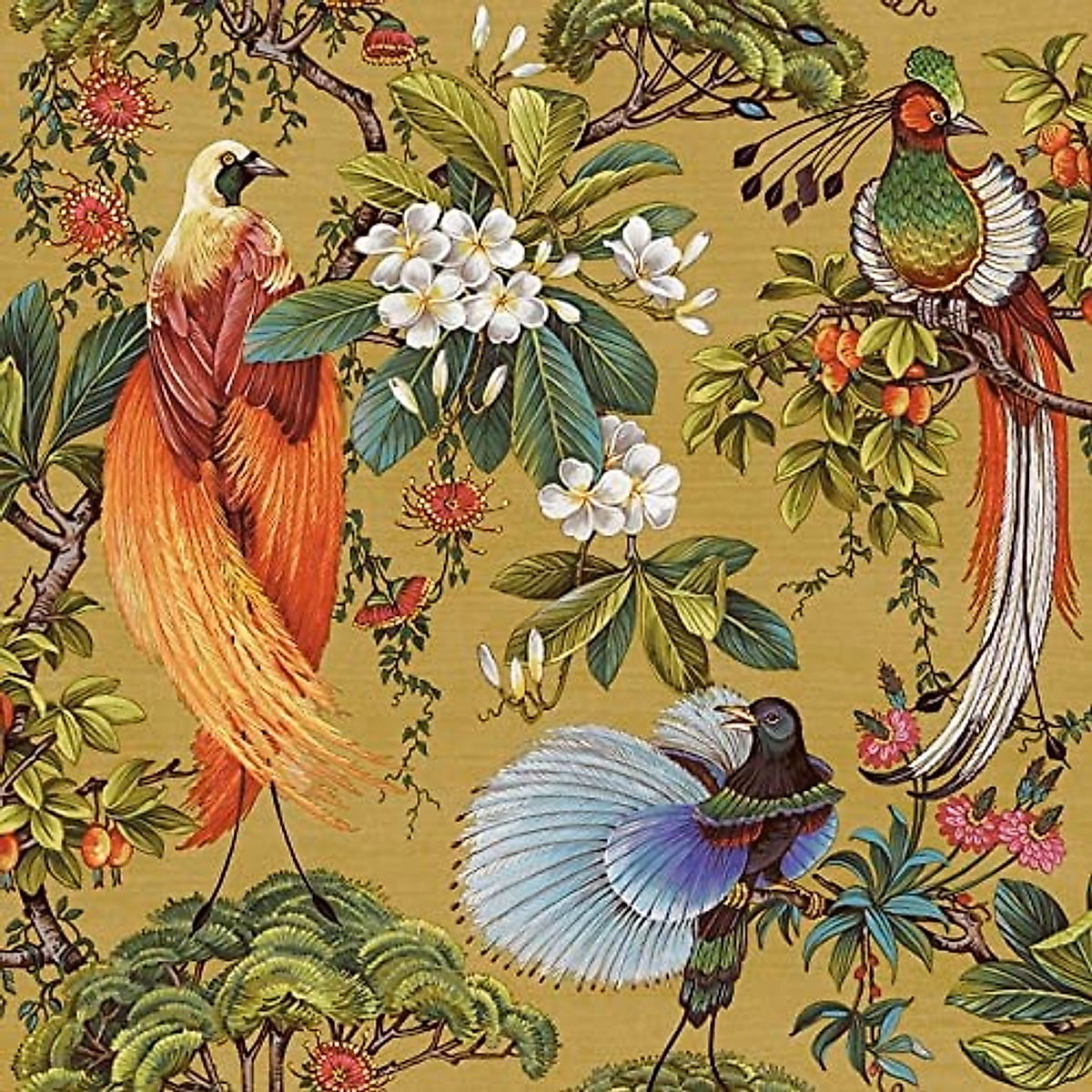 Holden Outside in Songbird Bird Theme Oriental Tropical Wallpaper Feature Wall Bedroom Livingroom Plum Deep Purple 13150