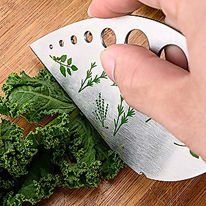 BENEKIY Scissors Herb Stripper Tools Kits 5-Blades Stainless Steel Scissors with Kitchen Herb Stripping Tool, Safe Cover, Cleaning Comb Multipurpose Kitchen Chopping Shear, Mincer