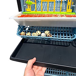 Quail Cage - 5 Layer (Power-Washable, Durable, ABS Plastic) | Hatching Time