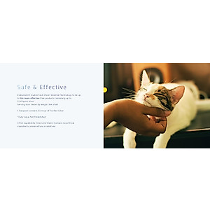 Silver Biotics Pet Vet Immune Support | Enhances The Immune Response in Pets | 16 Fl Oz